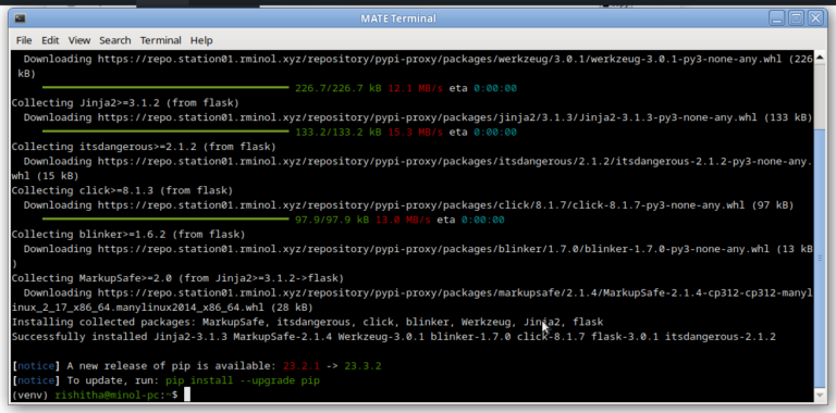 Create Python pypi repository on Nexus repository manager – RISHITHA MINOL