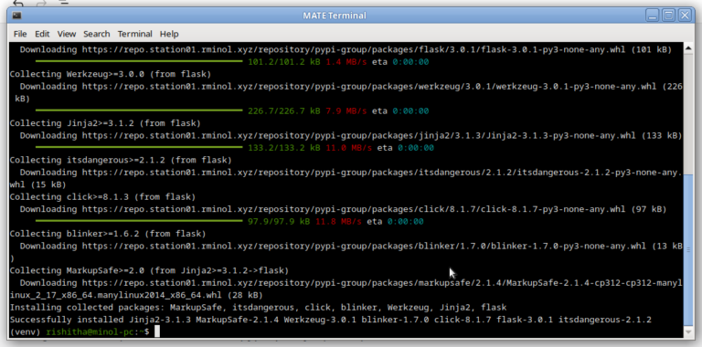 Create Python pypi repository on Nexus repository manager – RISHITHA MINOL